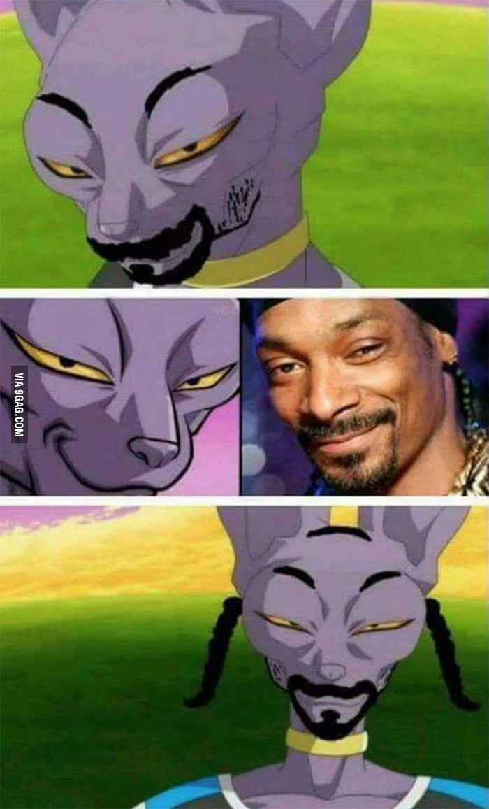 Beerus Dog - 9GAG