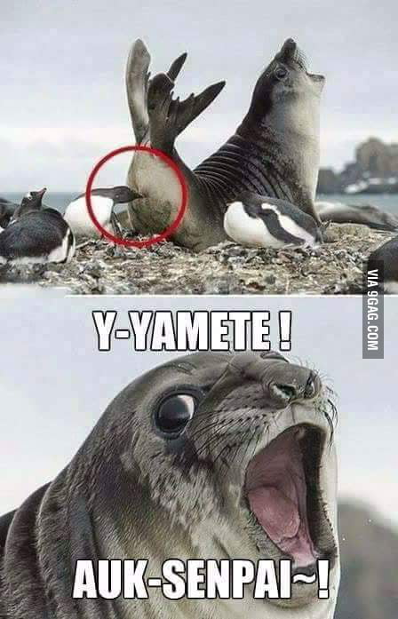 Rule 34 Thinks Of Everything 9gag