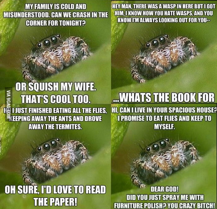 Now I feel bad about squishing spiders. - 9GAG