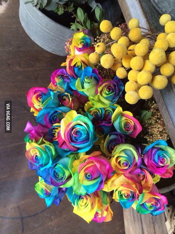 Dat flowers - 9GAG