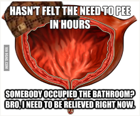 Scumbag Bladder.. Oh god why - 9GAG