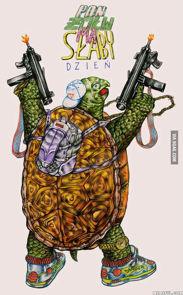 Googled "raging turtle". Im not disappointed. - 9GAG