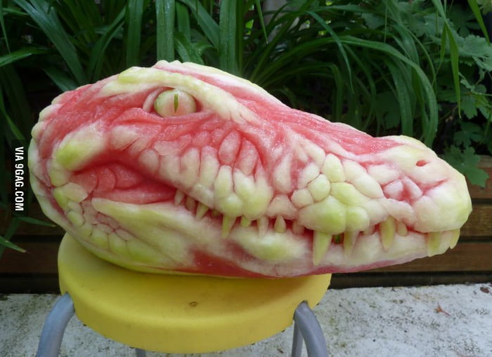 Watermelon Crocodile - 9GAG