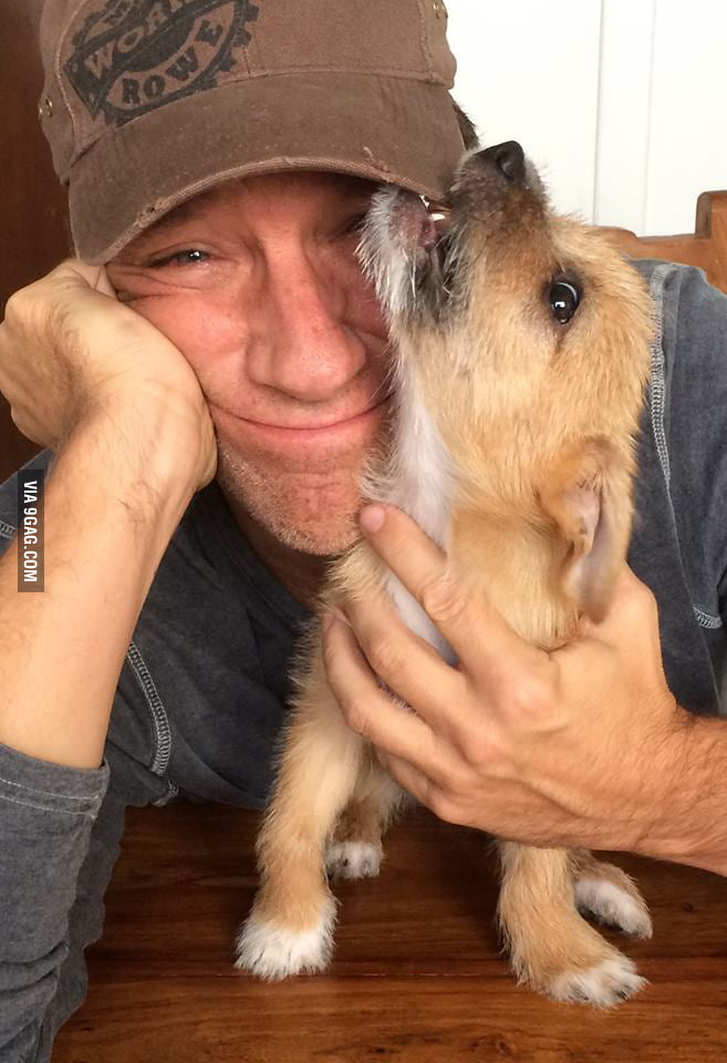 Mike Rowe and his new puppy he rescued - 9GAG