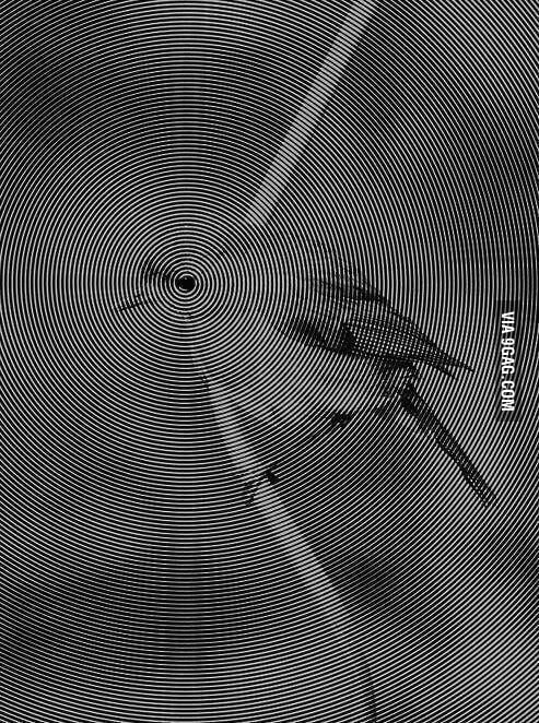 Optical illusion - 9GAG