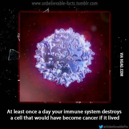 Thank you immune system - 9GAG