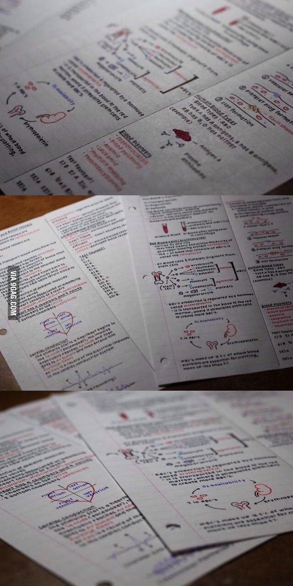 My friend takes stunning handwritten notes. - 9GAG