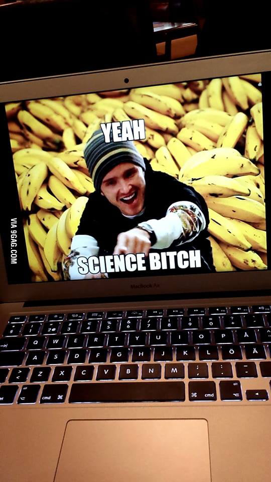 Powerpoint at its finest (I study science) - 9GAG