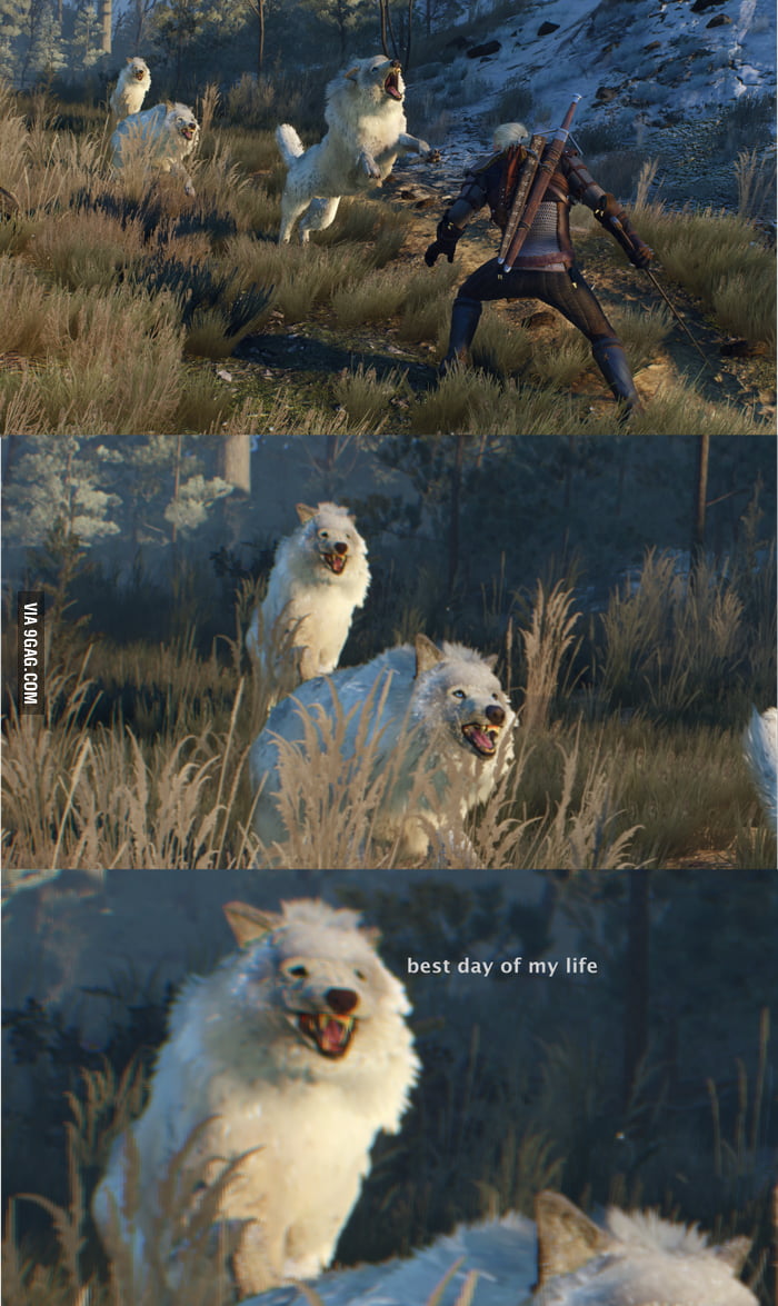 Moon Moon in The Witcher 3 - 9GAG