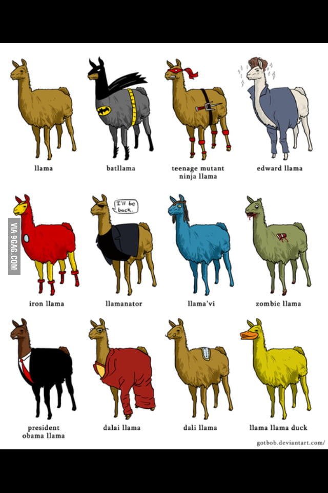 Lama. - 9GAG