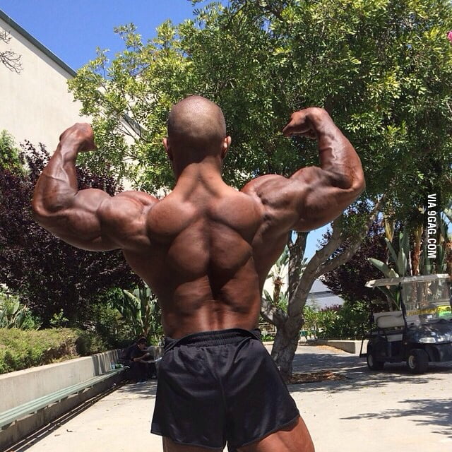 This guy fas a f**king six-pack on his back - 9GAG