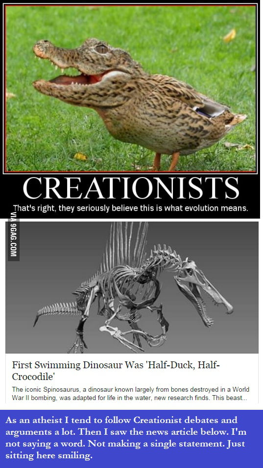 Crocoduck? Not quite. - 9GAG