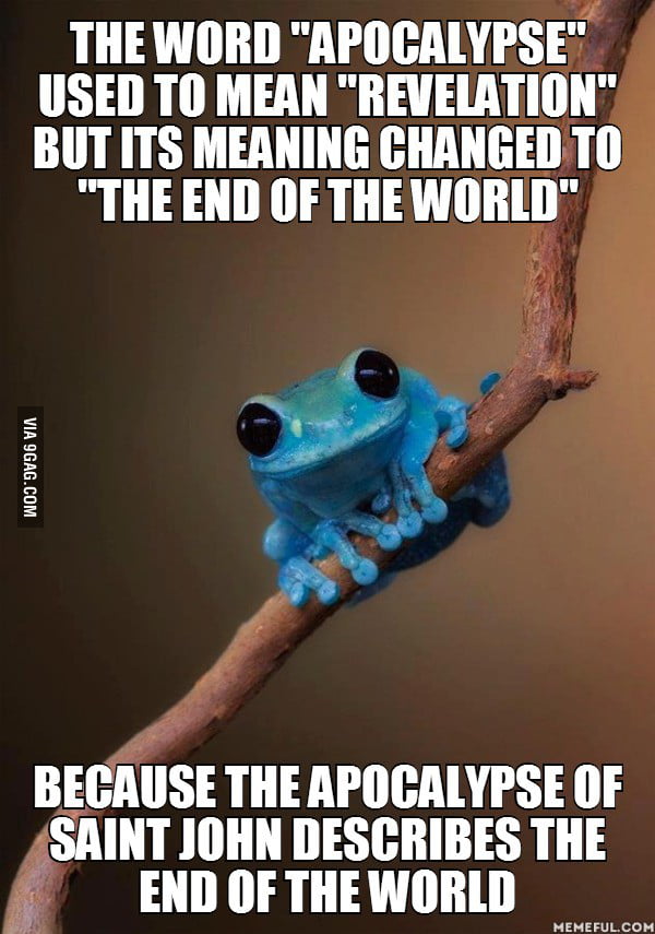 Tiny apocalypse frog - 9GAG