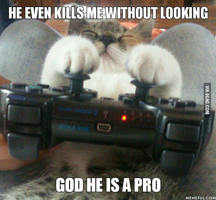 My cat is a pro with mortal kombat - 9GAG