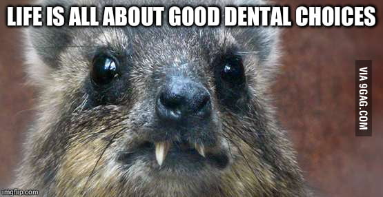 Dental choices - 9GAG