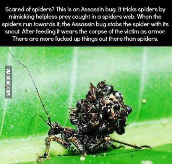Holy mother of nope - 9GAG