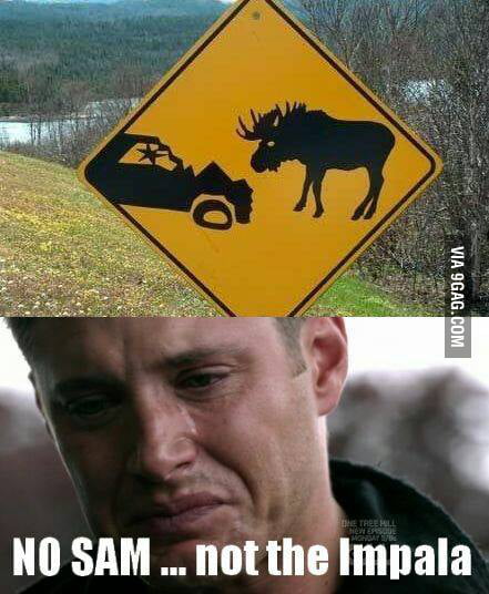 Sam why? - 9GAG