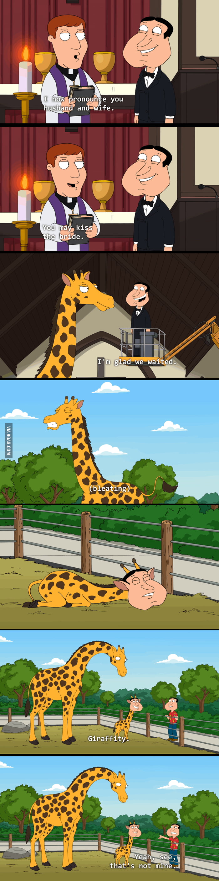 Giraffity - 9GAG