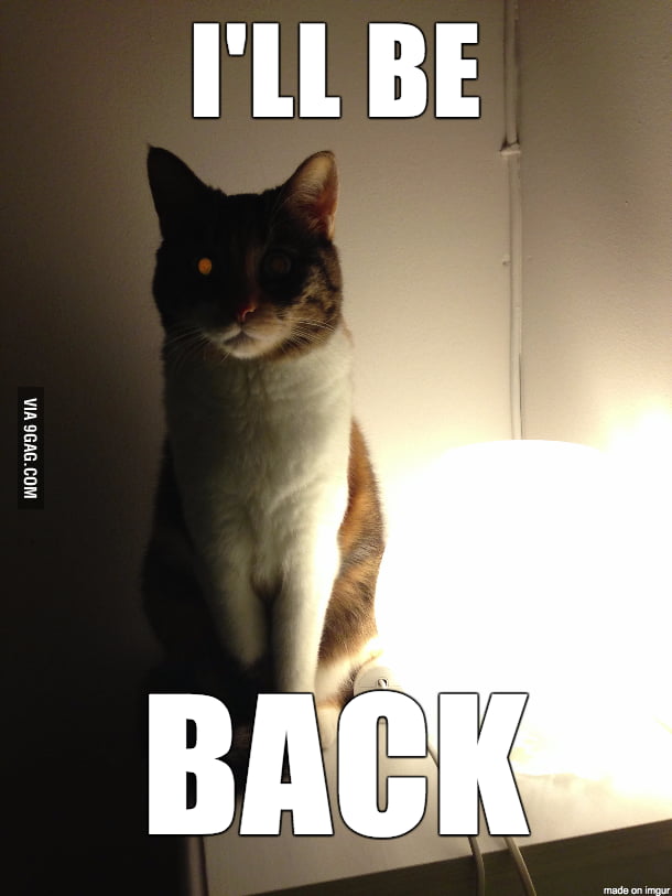 I'll be back - 9GAG
