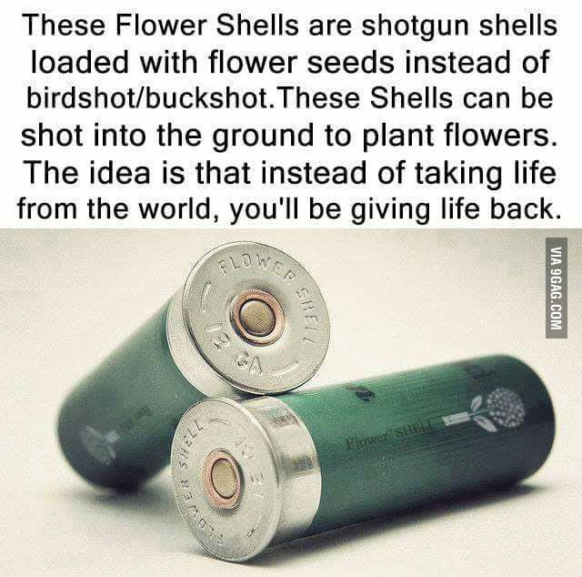 Shut up and plant flowers - 9GAG