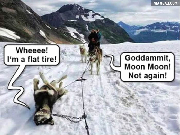 Damn it, Moon Moon! - 9GAG