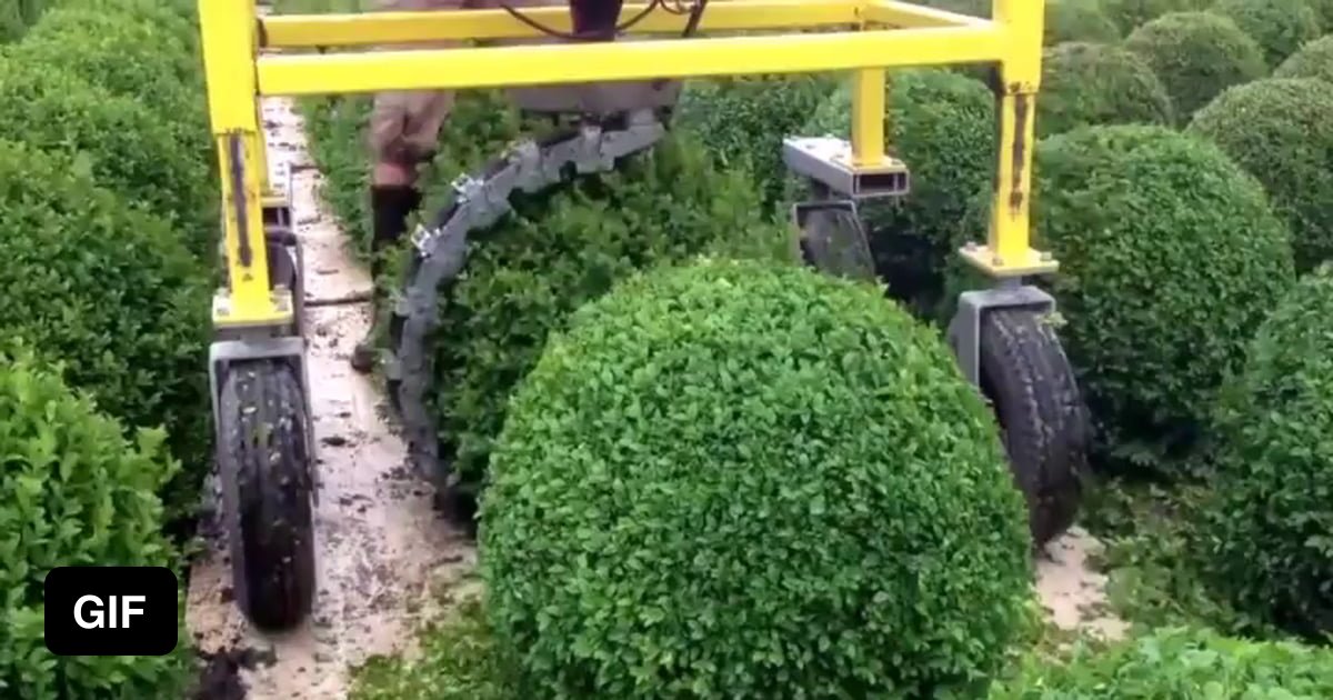 Satisfying bush trimming machine - 9GAG