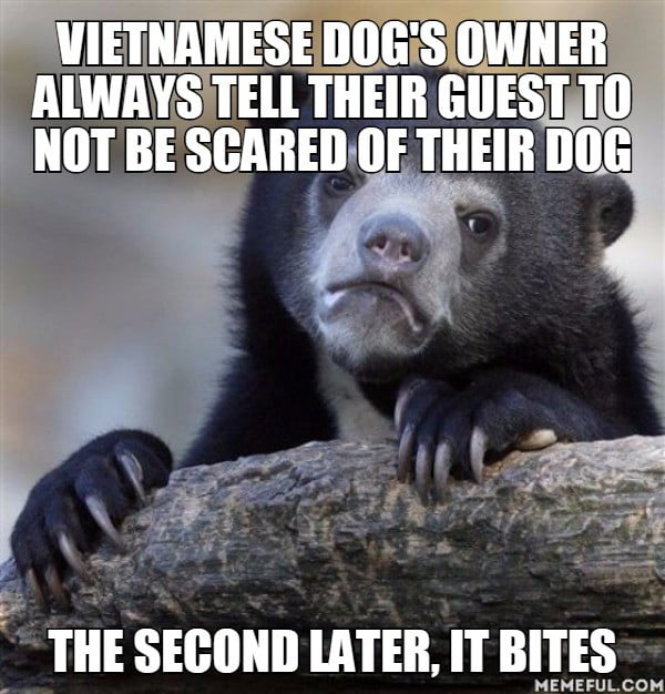 Haizz... the vietnamese - 9GAG