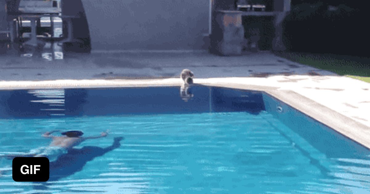 Pool scare - 9GAG