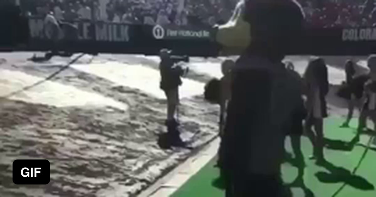 University of Colorado mascot Chip the Buffalo shot himself in the ...