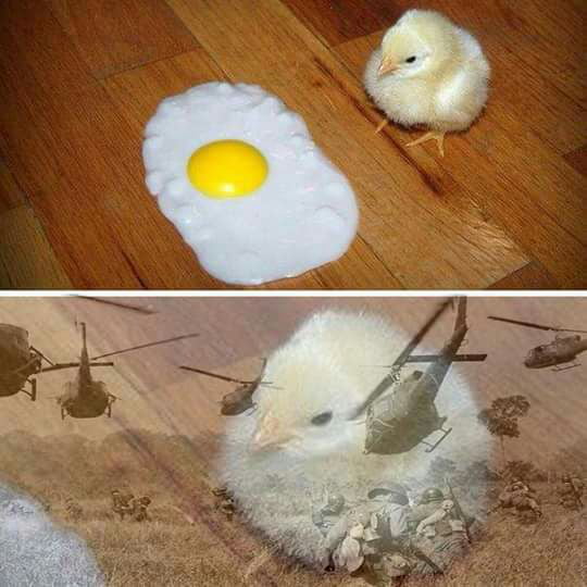 Dem felz - 9GAG