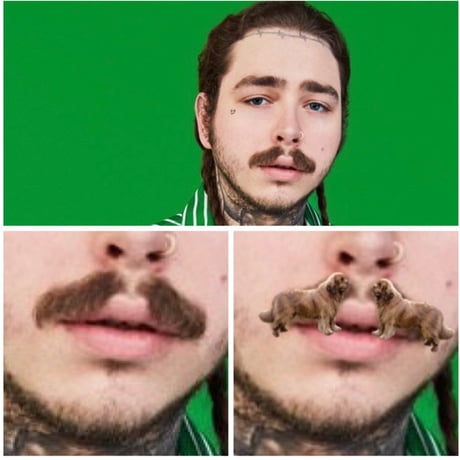 Mustache Dog Memes
