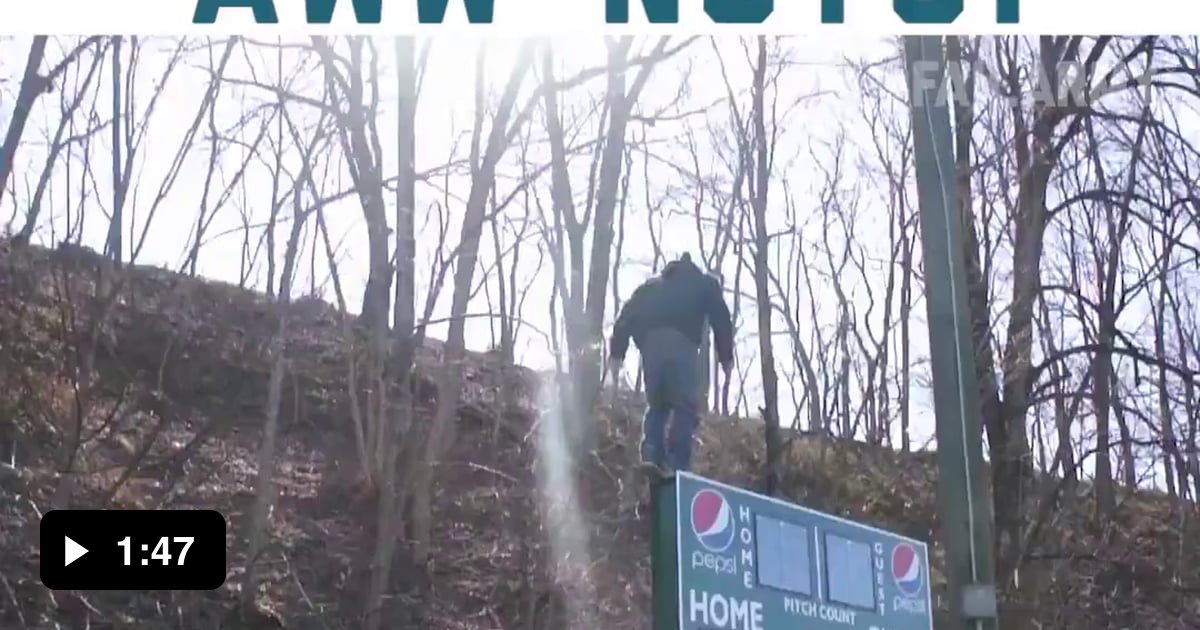 These nuts... Got em - 9GAG