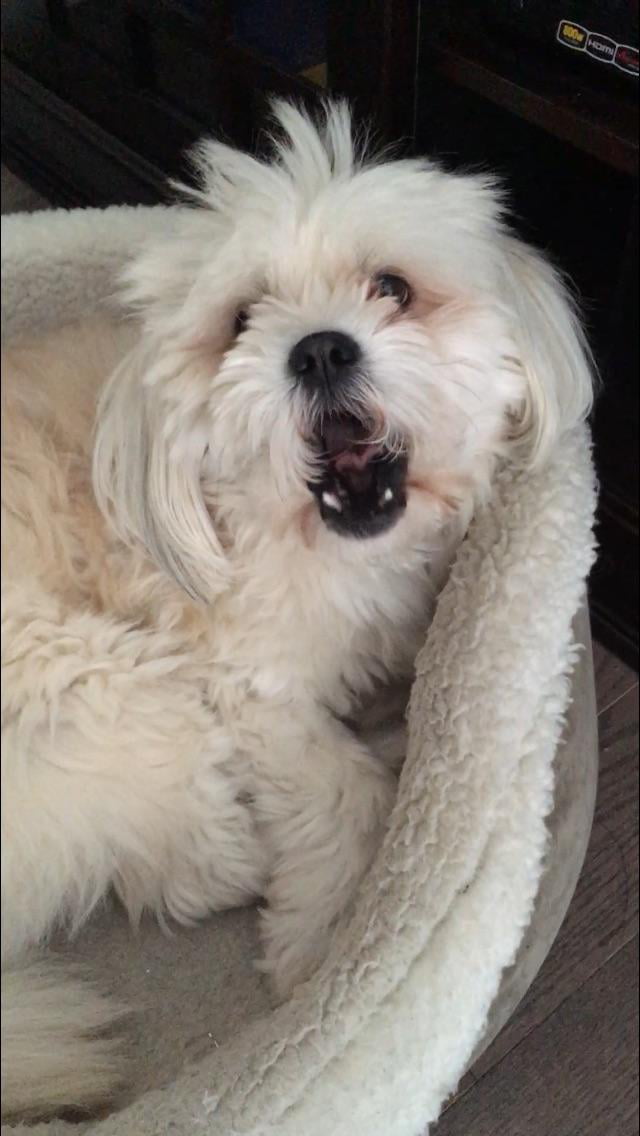 Bed head derp - 9GAG