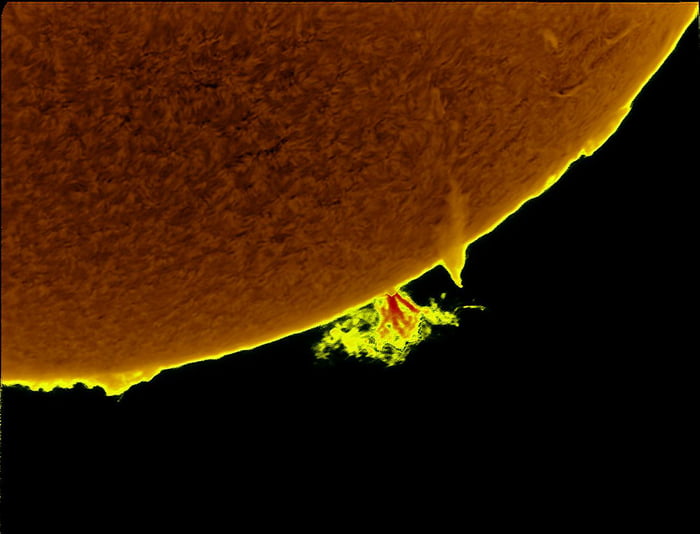 A tree-shaped prominence and a filaprom on the South-East side of the ...
