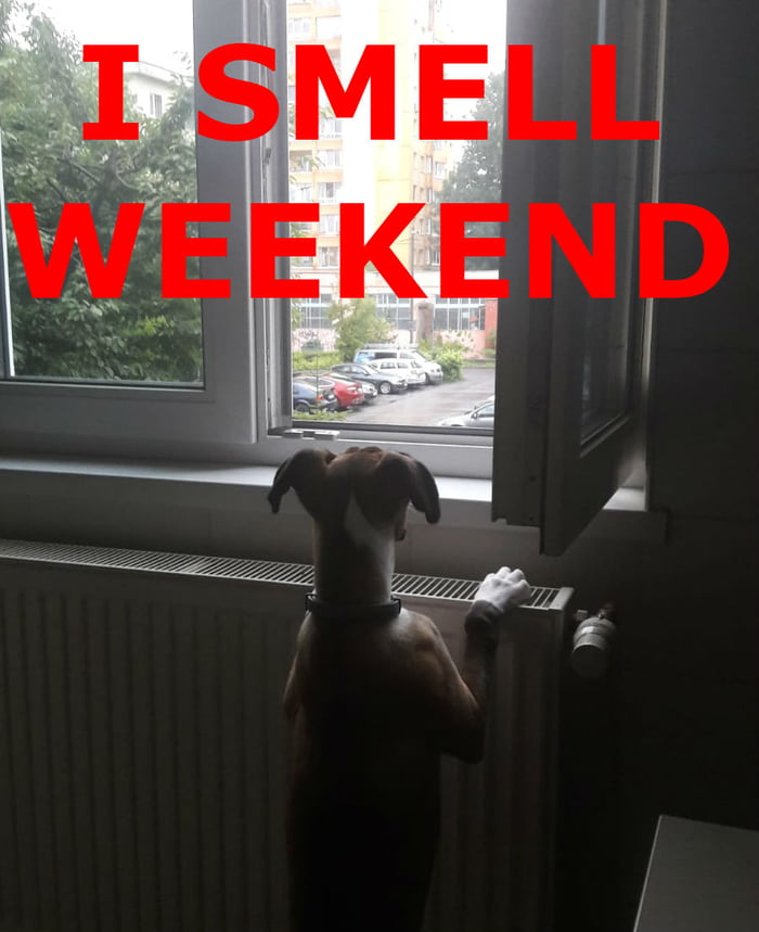 Hey, do I smell weekend? - 9GAG