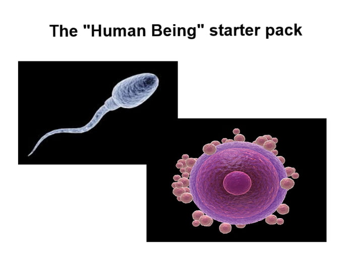 Life starter pack - 9GAG