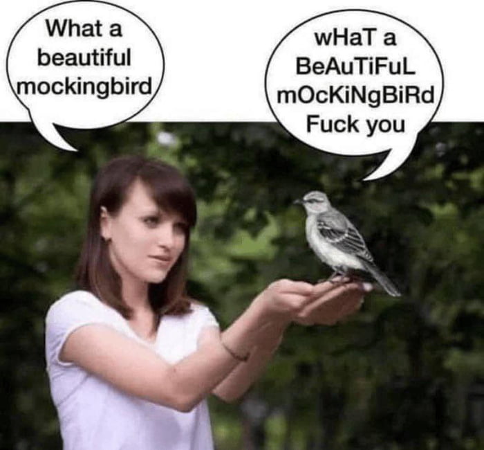 Mockingbird has a foul mouth - 9GAG