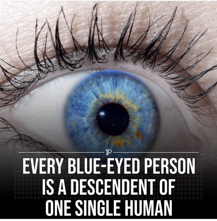 The Fascinating Truth About Blue Eyes: All Blue-Eyed People Share a Common Ancestor From Over ...