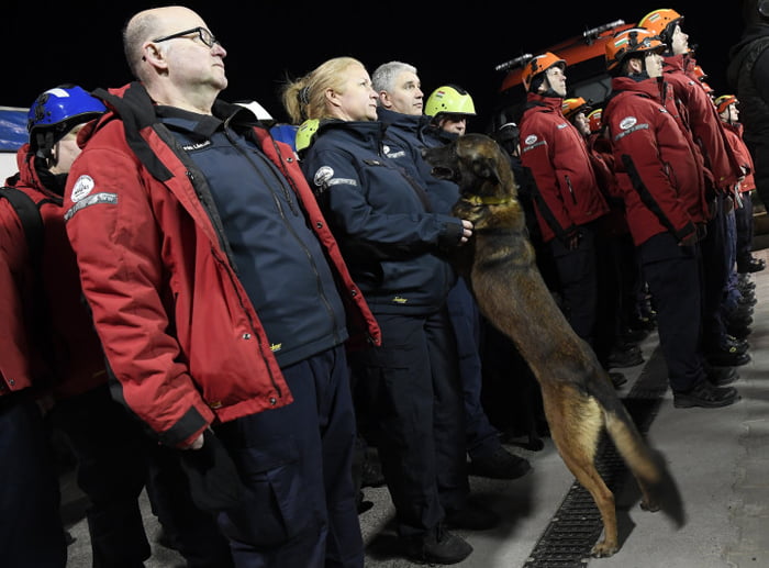 156 Hungarian rescuers with 28 dogs are doing 24/7 service in Turkey ...