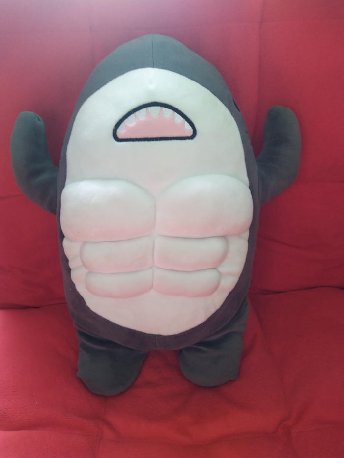 Giga shark the true sigma of the sea. - 9GAG