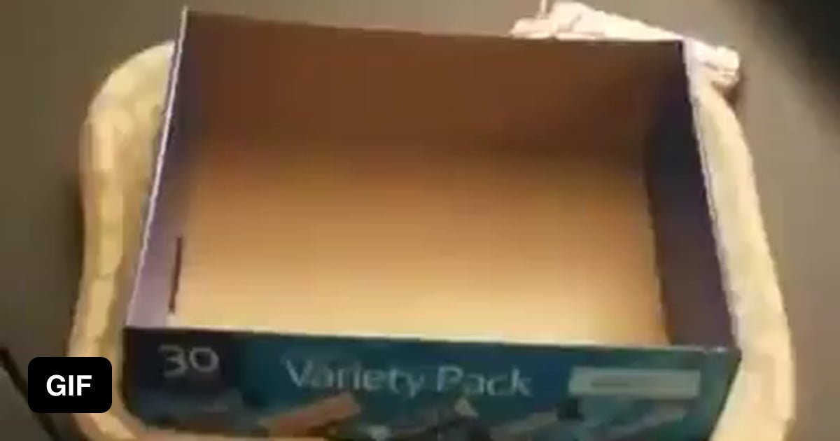 Python is stuck in an infinite loop. - 9GAG