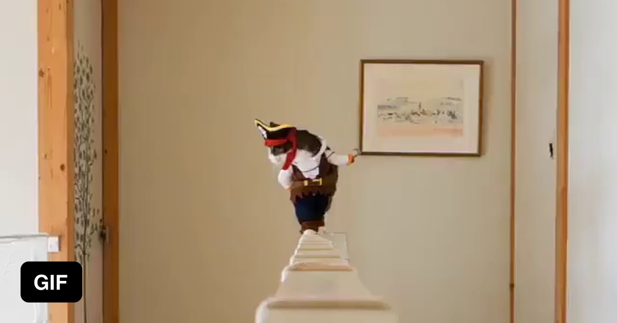 Pro Plank Walker - 9GAG