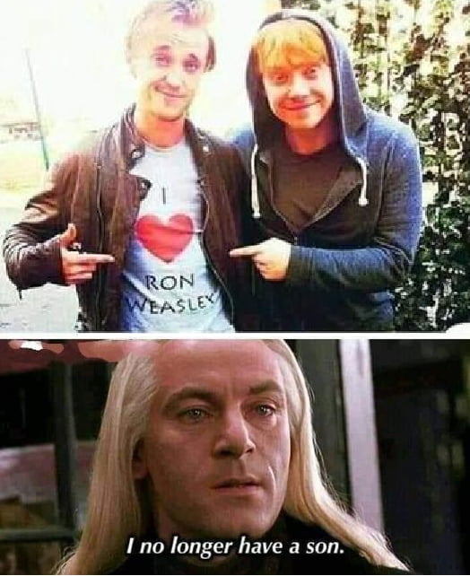 Holup, Draco Malfoy...! - 9GAG