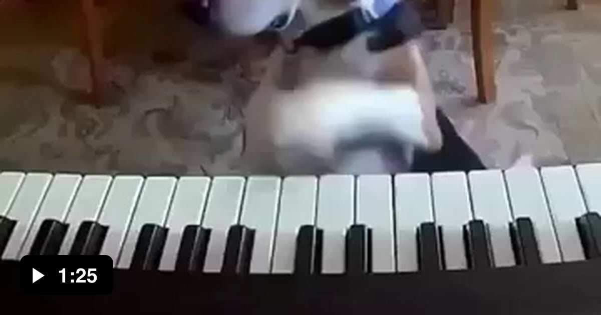 Latest song from album (lol). - 9GAG
