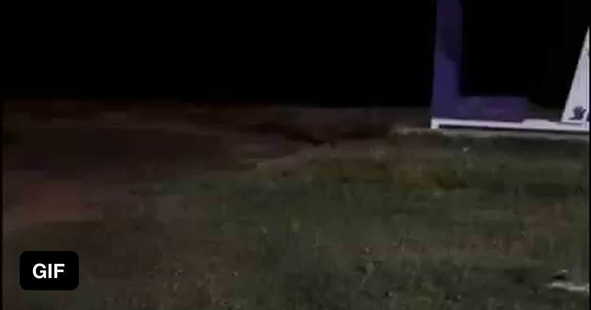 Alien invasion - 9GAG