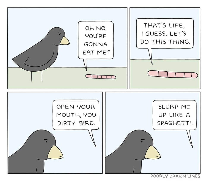 Bird Hub. - 9GAG