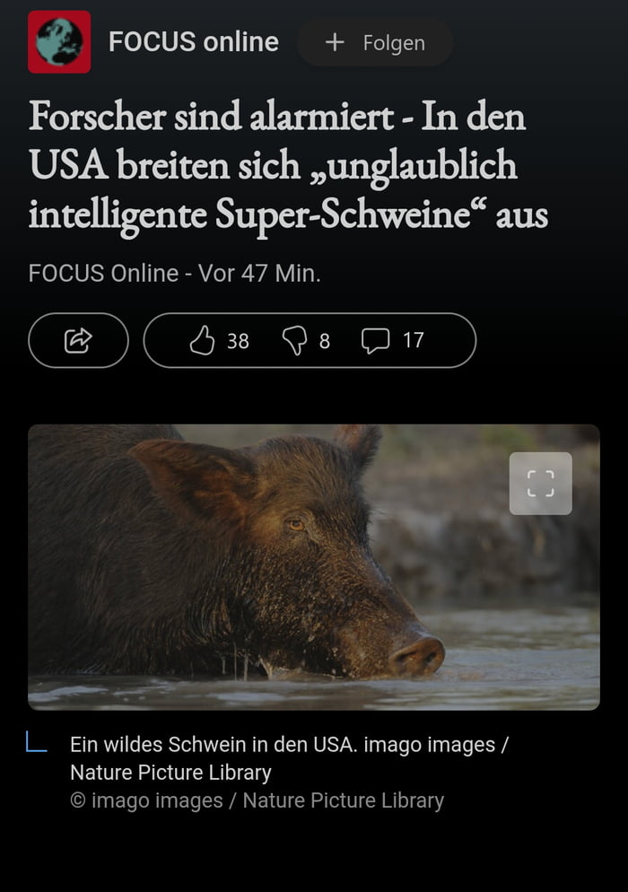 Lol super intelligent pigs in murica. Now they can science again. - 9GAG