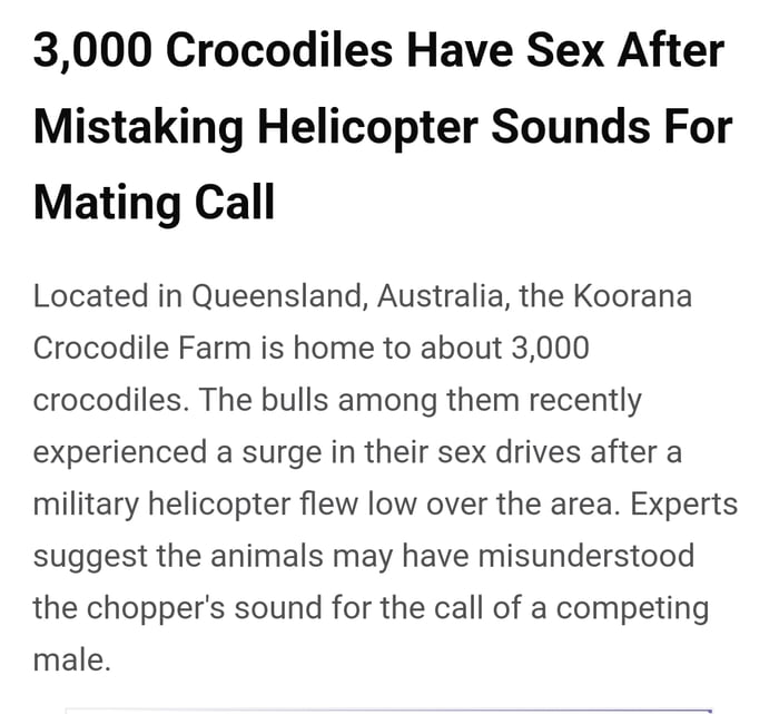 Ah yes. The segs - 9GAG