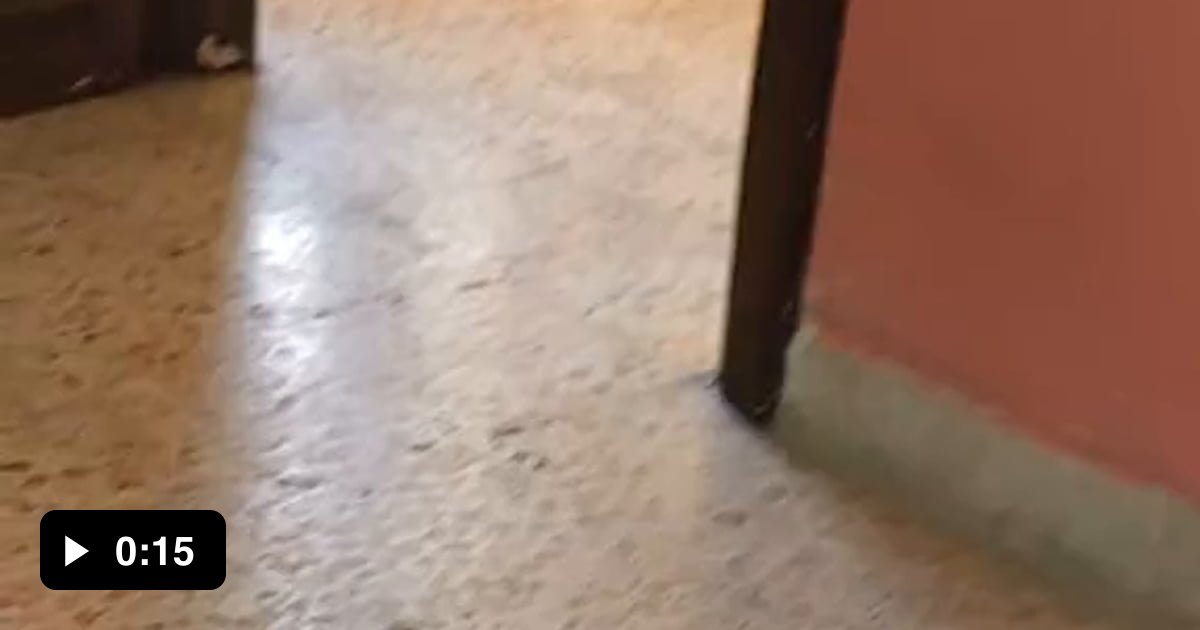 So basically am smol - 9GAG