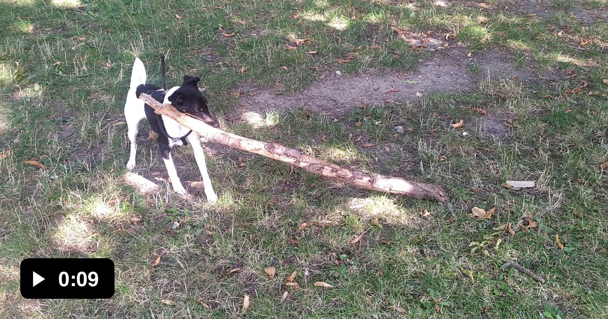 Good stick, good skills - 9GAG